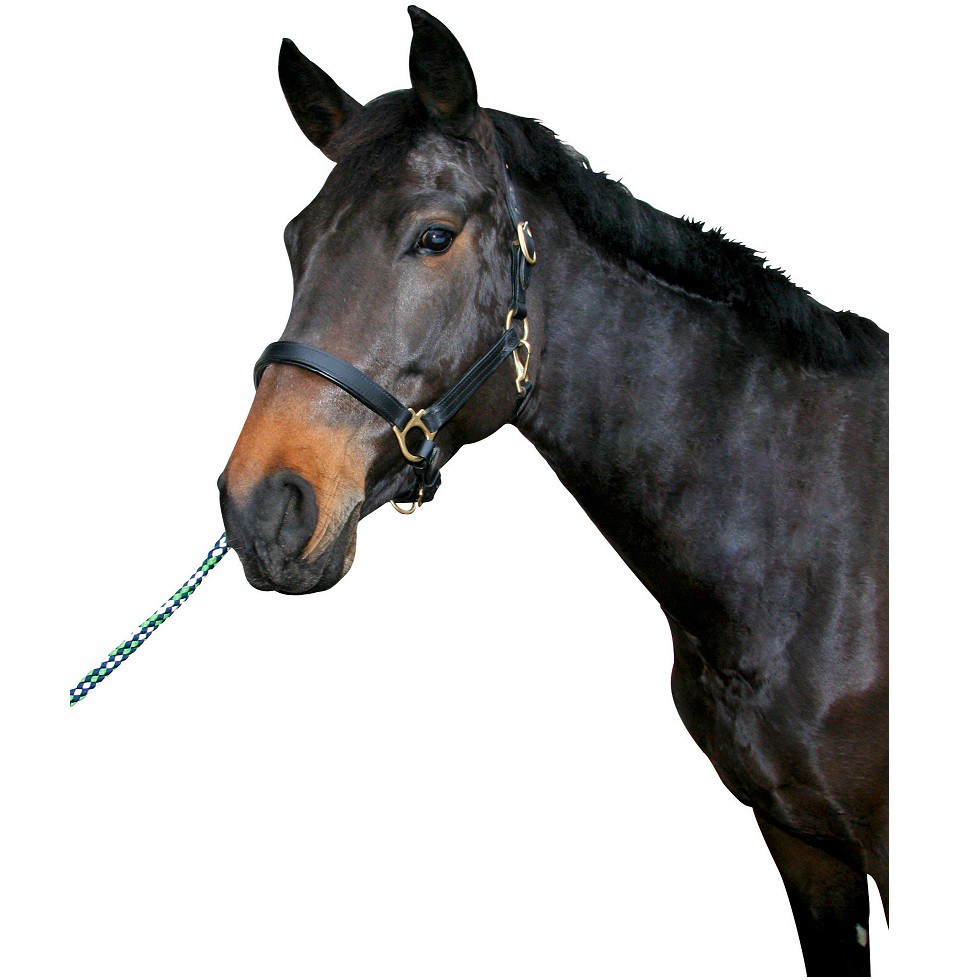 Head collar Eco size 2, black