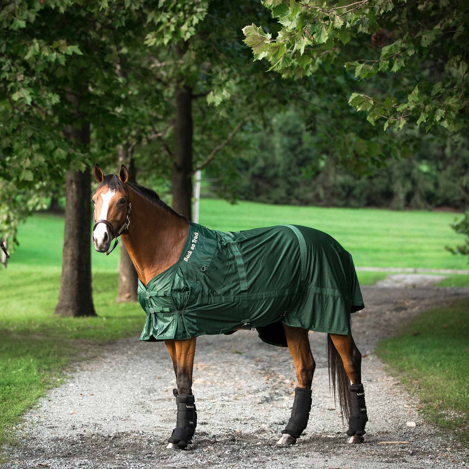 Back on Track Mesh Sheet for Horses I Agrarzone